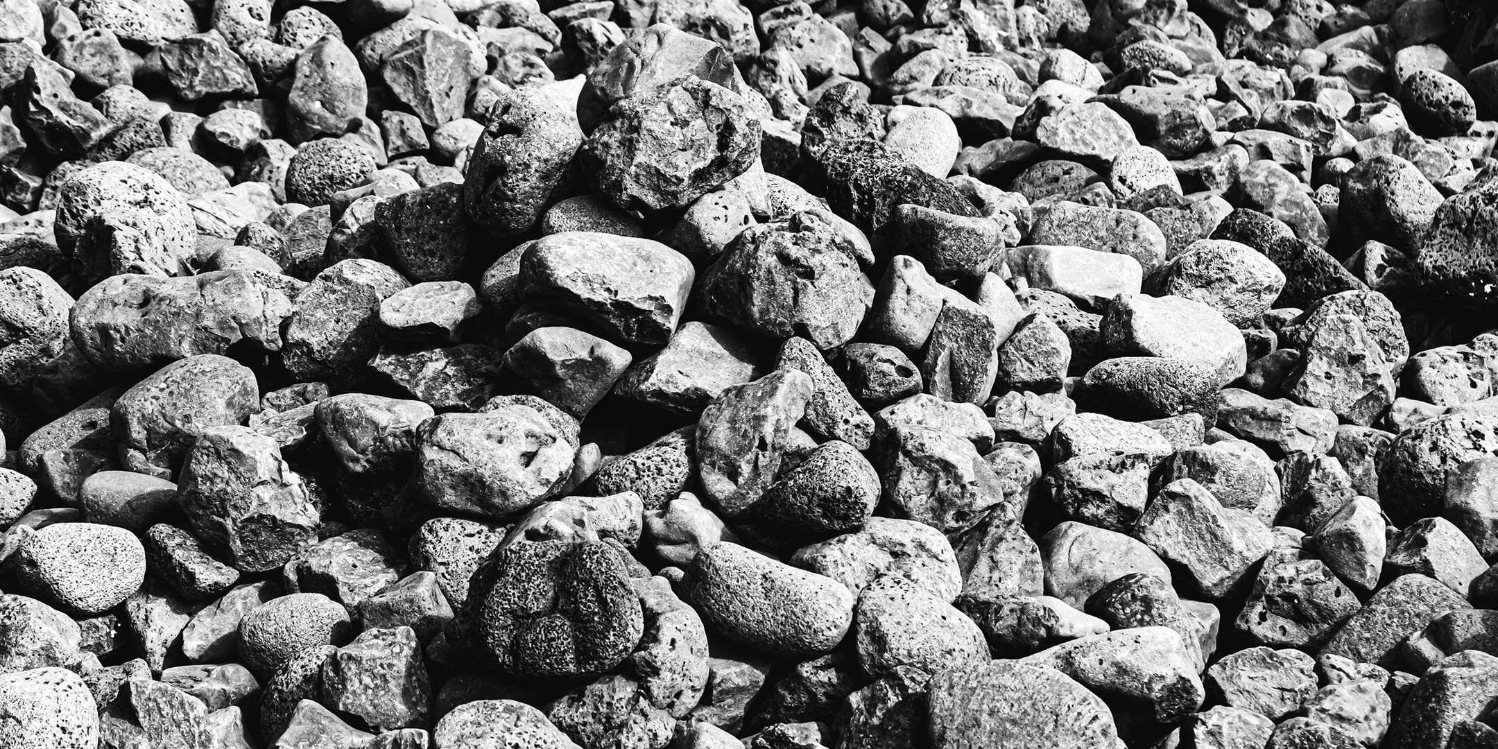 Commodities – TRF Group
